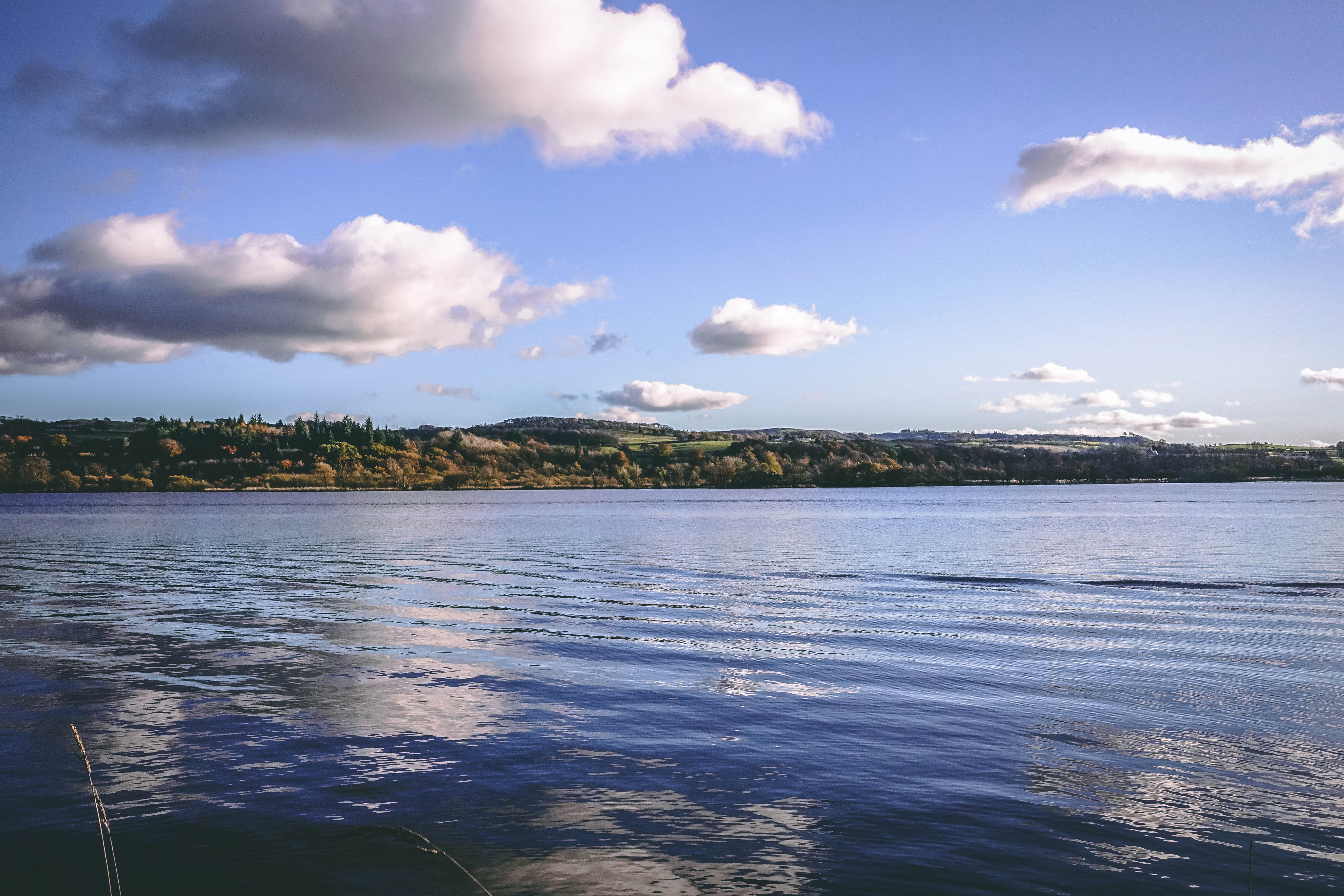 Take the Castle Semple Lochside walk with our route planner - Paisley.is