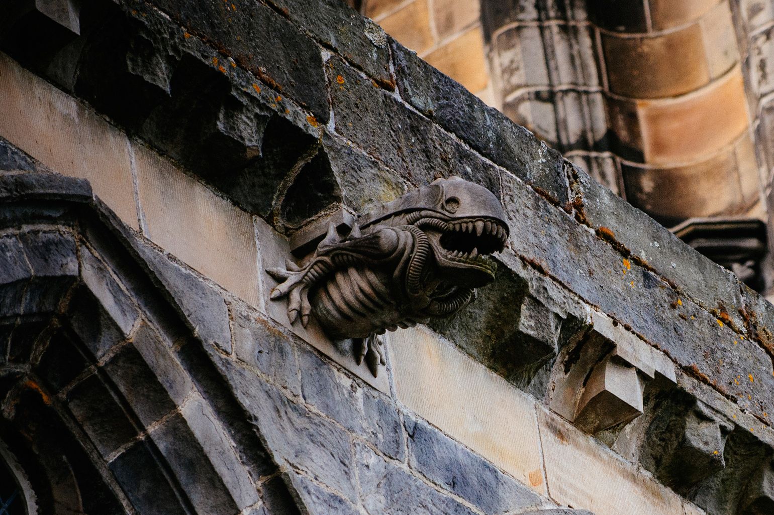 10 fun facts you didn’t know about Paisley - Paisley.is