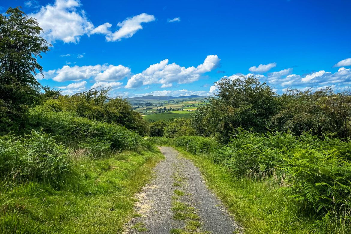 Five stunning woodlands in Renfrewshire - Paisley.is