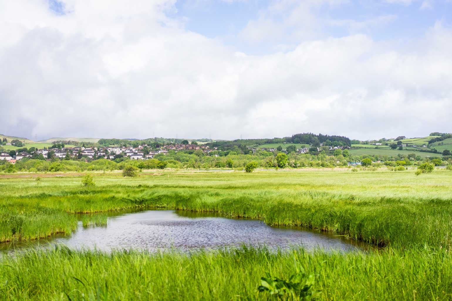 Nature reserves in Renfrewshire make for a great day exploring - Paisley.is