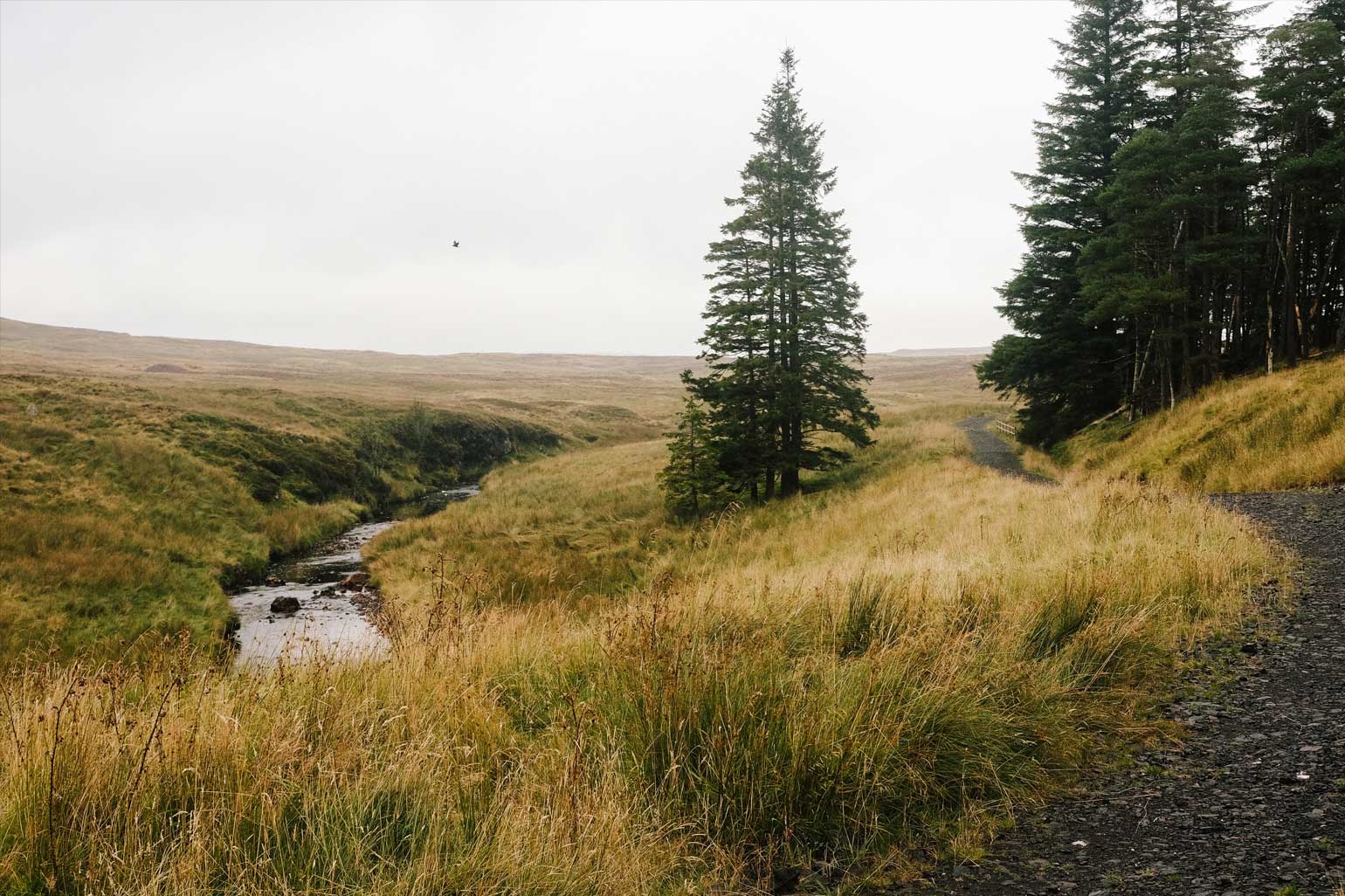 Clyde Muirshiel Regional Park - Cycling Microadventure - Paisley.is