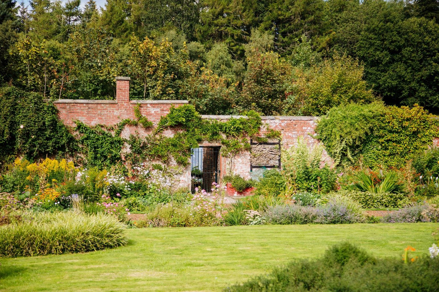 Anxiety, mental health and finding calm in nature - Paisley